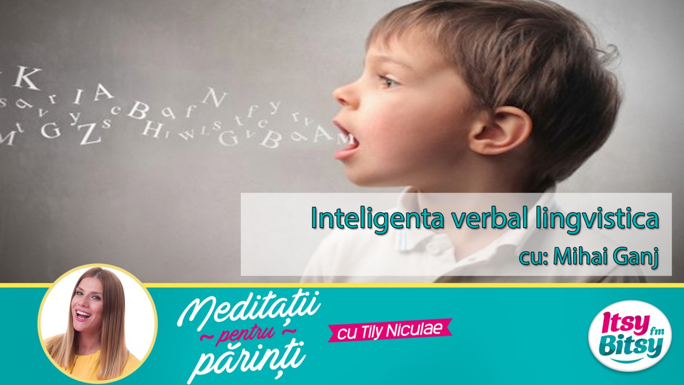 Despre inteligenta verbal lingvistica (AUDIO) - Tily Niculae